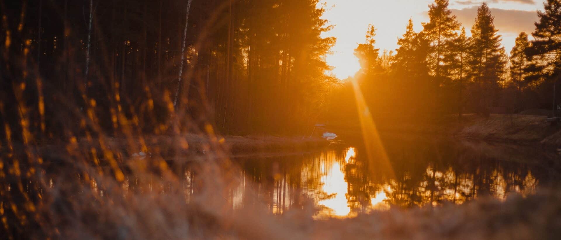 Social Media Algorithms and How They Rule Our Lives